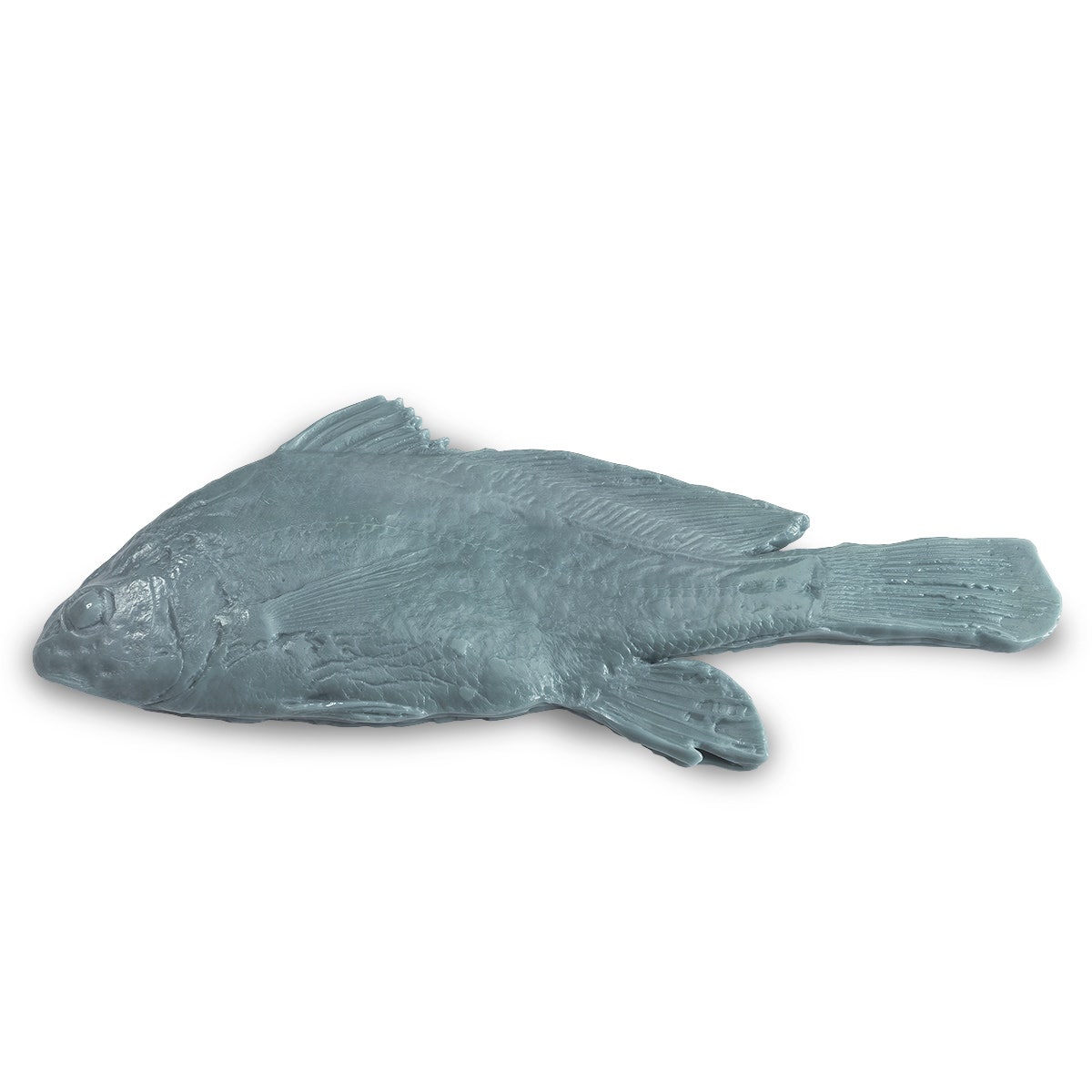 Fish Replica Rubber Stamp for Printmaking - Nasco Education