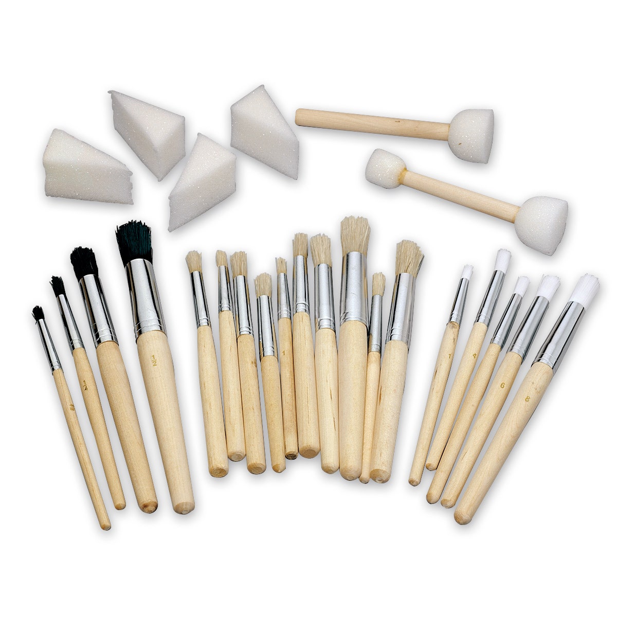 Stencil Brushes and Foam Sponges - Set of 25 - Nasco Education