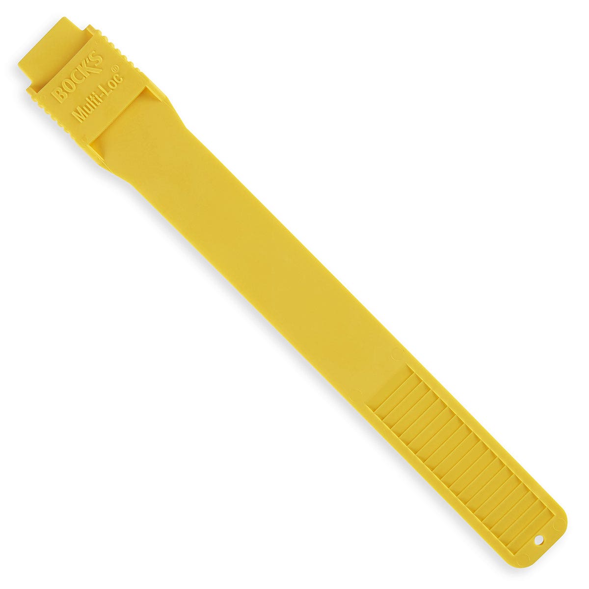 Blank Leg Band - Nasco Education