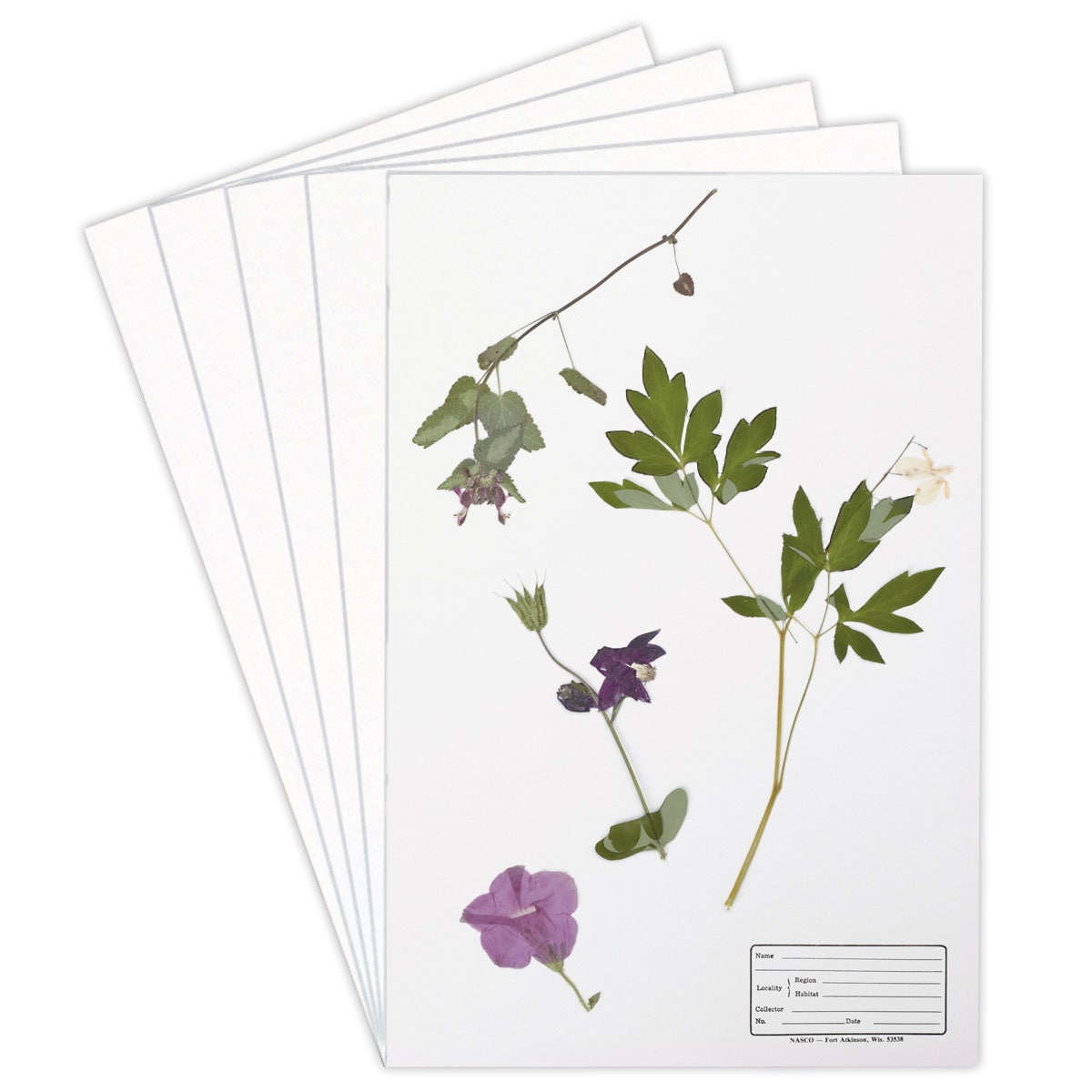 Plant Mounting Sheets - Nasco Education