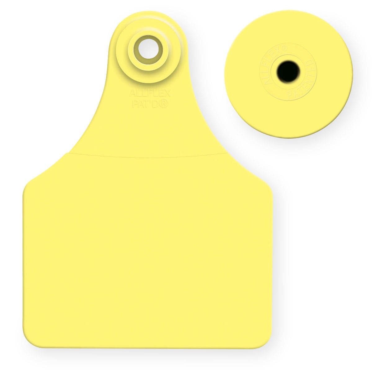 Allflex® Global Large Female Blank Tags (with Studs) - Nasco Education