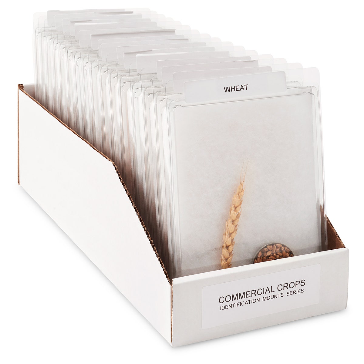 Commercial Crops Identification Mounts Series - Nasco Education