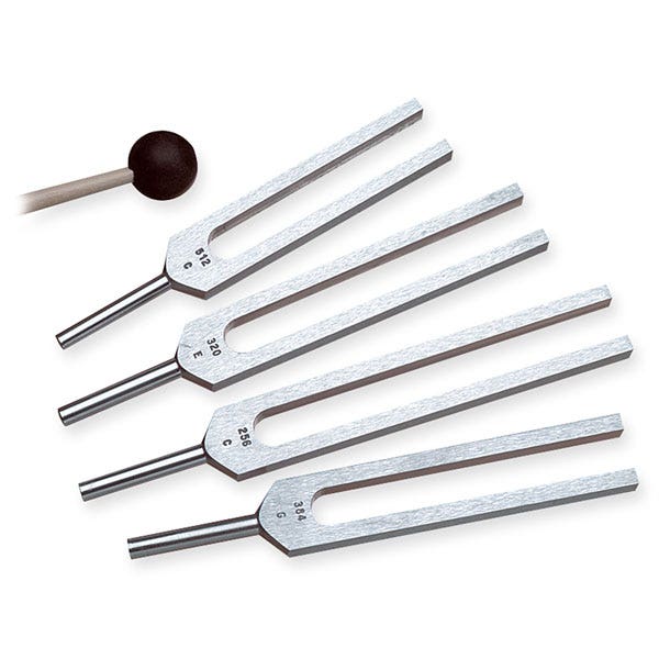 Student Grade Forks - Nasco Education