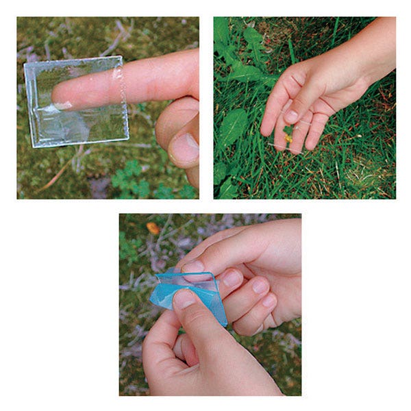 Microscope Slides for Education - Nasco Education