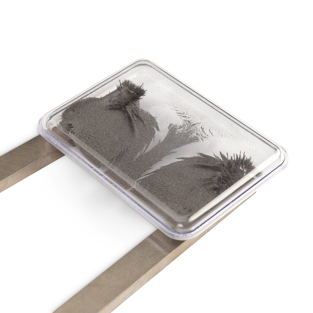 Iron Filings Set - Nasco Education