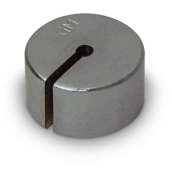 Slotted Steel Weights - 100 g - Nasco Education