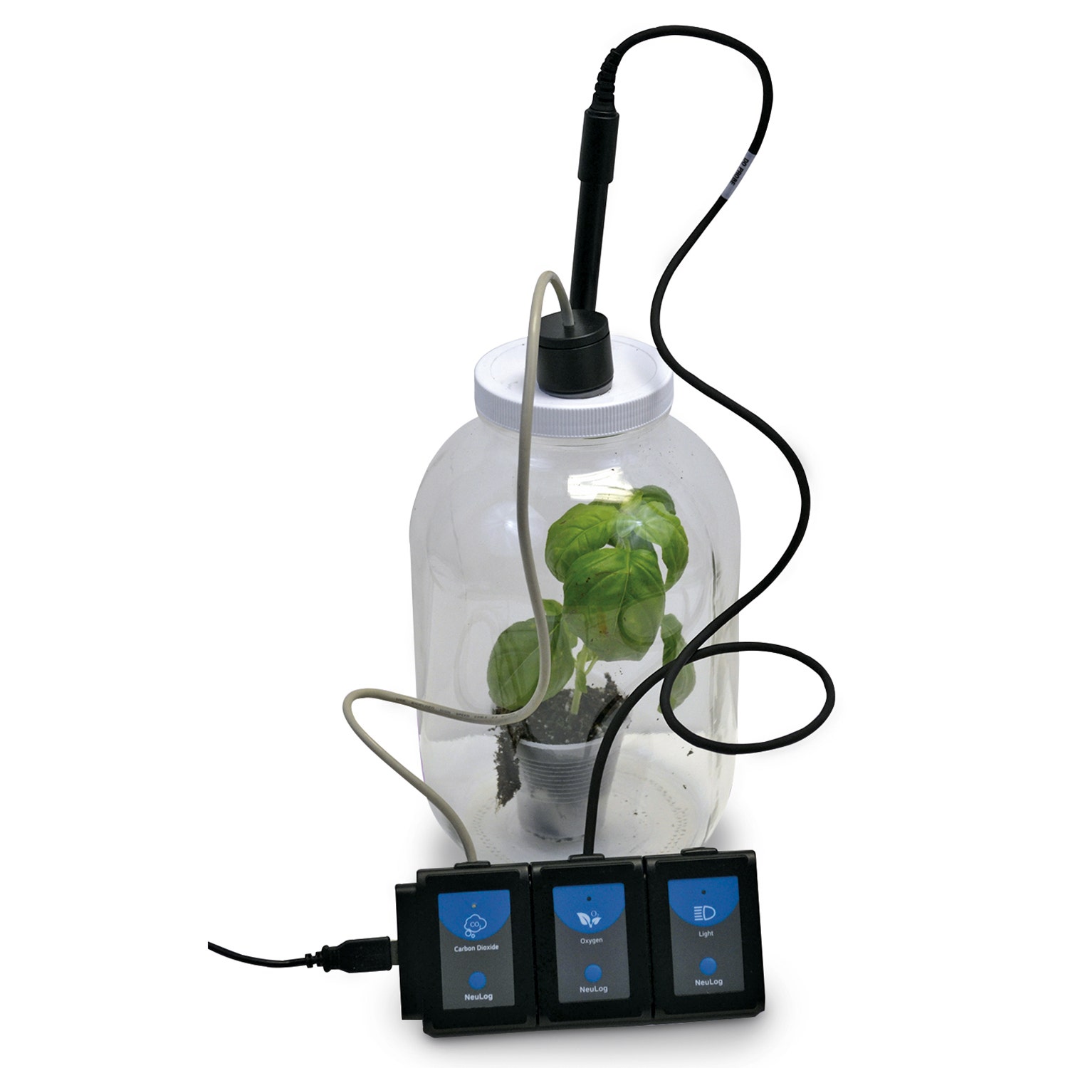 Photosynthesis Kits - Biology - Science