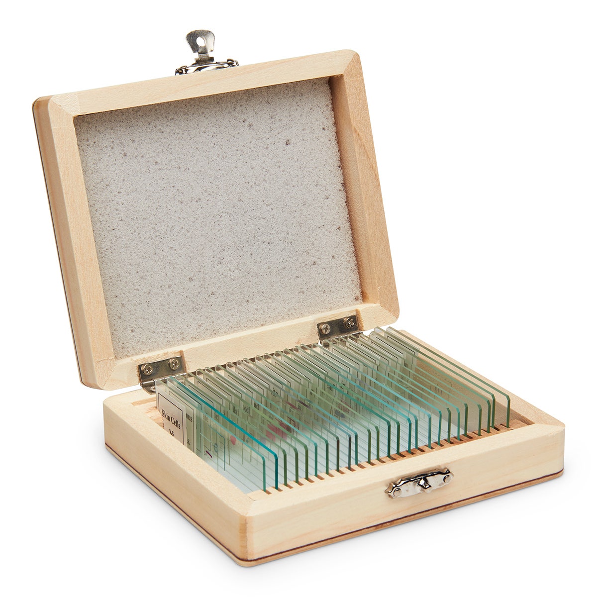 Prepared Slides Set: Set of 25 slides