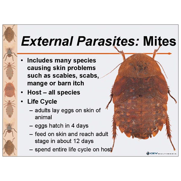 Parasites of Livestock PowerPoint® Presentation
